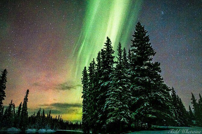 Capturing the Ethereal Beauty: Northern Lights Photo Workshop - What Vacationers Say