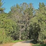 Carmel-by-the-Sea Mission Areas: A Self-Guided Audio Tour - What’s Included and What’s Not
