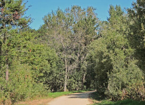 Carmel-by-the-Sea Mission Areas: A Self-Guided Audio Tour - What’s Included and What’s Not