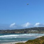Carmel, Monterey and Big Sur Tour Private Tour from San Francisco - Pricing and Value
