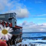 Carmel / Monterey Hwy 1 tour - An In-Depth Look at the Itinerary