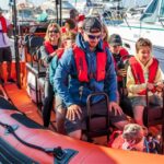 Cascais: Dolphin Watching Tour - The Itinerary: What the Tour Looks Like
