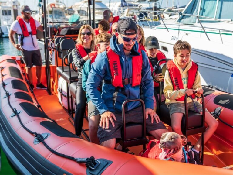 Cascais: Dolphin Watching Tour - The Itinerary: What the Tour Looks Like