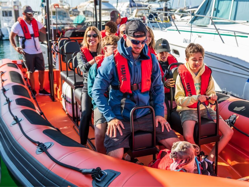 Cascais: Dolphin Watching Tour - The Itinerary: What the Tour Looks Like