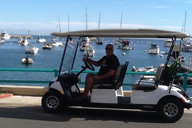 Catalina Island All Inclusive Sightseeing Tour From Orange County - Who is This Tour Best For?