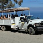 Catalina Island City and Scenic Mt Ada Tour - What You’ll See and Experience