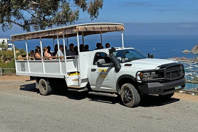 Catalina Island City and Scenic Mt Ada Tour - What You’ll See and Experience