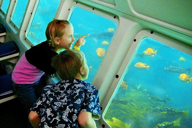 Catalina Island Day Trip from LAX area hotels with Undersea Adventure - Authentic Experiences and Traveler Feedback