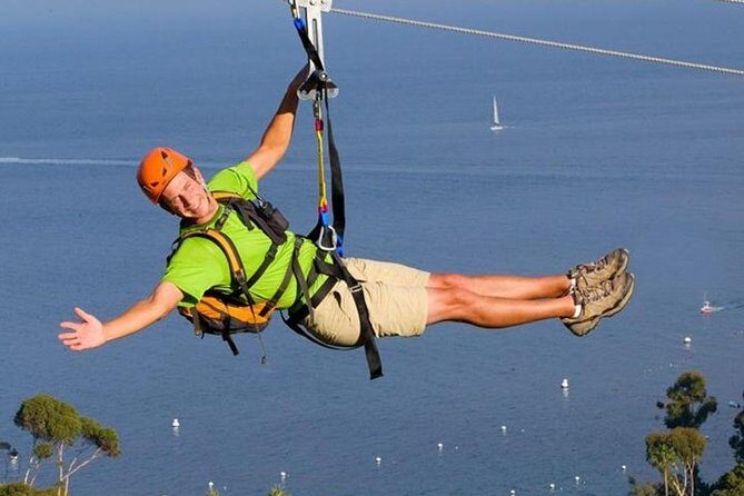 Catalina Island Trip with Hotel transfers & Optional tours - Analyzing the Value and Experience