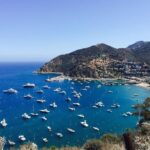 Catalina Island w/Discover Avalon Scenic Tour & Hotel transfers - Analyzing the Value & Practicalities