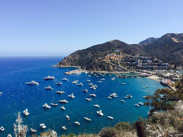 Catalina Island w/Discover Avalon Scenic Tour & Hotel transfers - Analyzing the Value & Practicalities