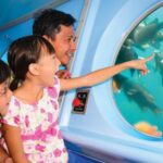 Catalina Island: Yellow Semi-Submarine Cruise - Who Will Appreciate This Tour?
