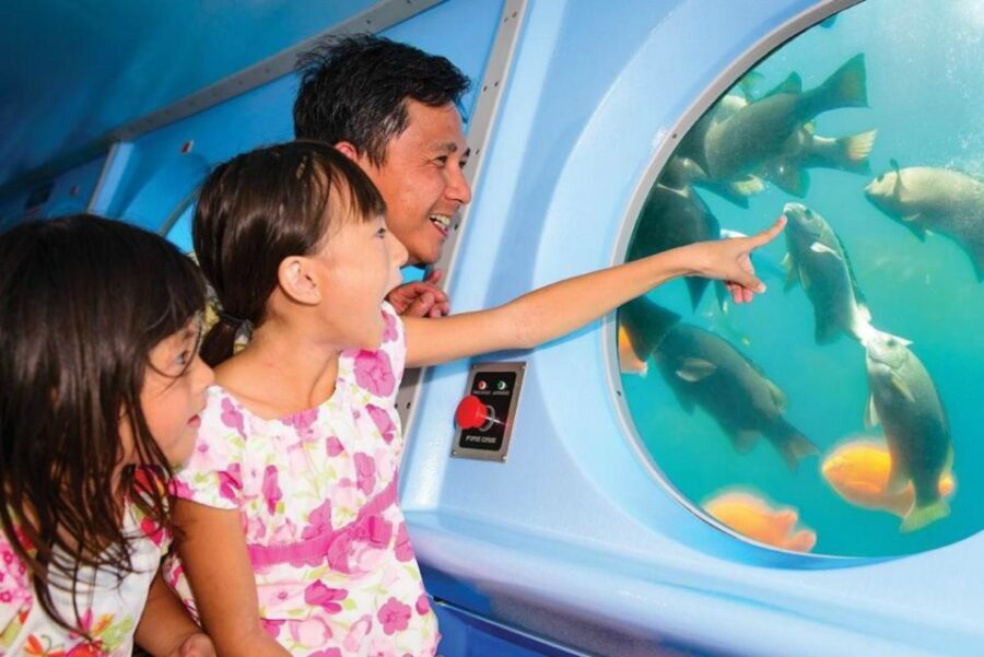 Catalina Island: Yellow Semi-Submarine Cruise - Who Will Appreciate This Tour?
