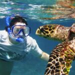 Catamaran Private Charter of NaPali Coast on Kauai - In-Depth Look at the Experience
