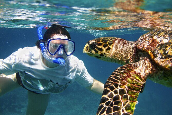 Catamaran Private Charter of NaPali Coast on Kauai - In-Depth Look at the Experience