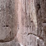 Cathedral Gorge State Park and Area 51 day tour from Las Vegas - The Mysterious and Quaint Hiko: Near Area 51