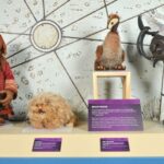 Center for Puppetry Arts: Worlds of Puppetry Museum - Interactive Elements and Activities