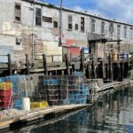 Central Coastal Maine Private Day Tour - What to Expect from Transportation and Timing