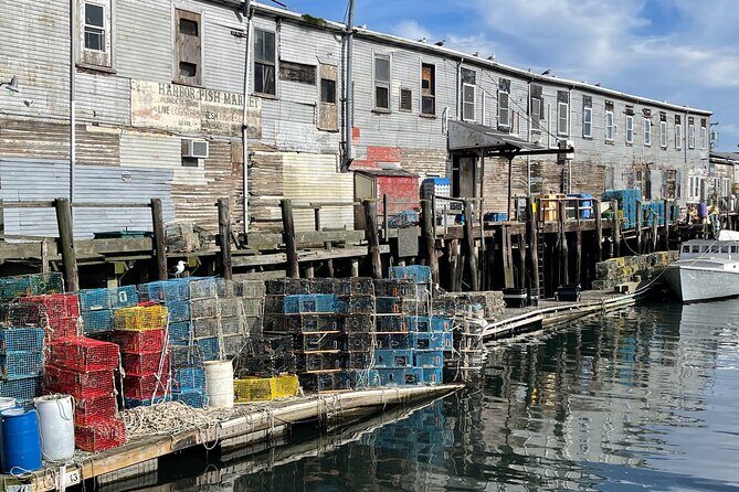 Central Coastal Maine Private Day Tour - What to Expect from Transportation and Timing