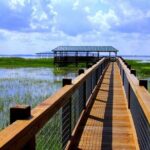 Central Florida Everglades Airboat Tour from Orlando - Why This Tour Is a Great Pick