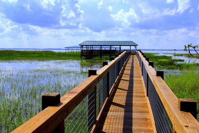 Central Florida Everglades Airboat Tour from Orlando - Why This Tour Is a Great Pick