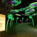 Central Florida Zoo and Botanical Gardens Ticket - What to Expect at the Central Florida Zoo & Botanical Gardens