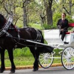 Central Park and NYC Horse Carriage Ride - Insights from Customer Reviews