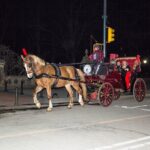 Central Park Carriage Ride w/ Drop Off @ Tavern On Green (45 min) - The Experience of Scenic Stops & Storytelling