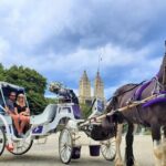 Central Park Horse and Carriage Rides - Meeting Point and Practical Details
