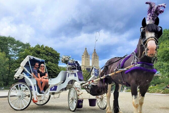 Central Park Horse and Carriage Rides - Meeting Point and Practical Details