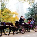 Central Park Horse Carriage Ride Short Loop (Up to 4 Adults)) - Final Thoughts