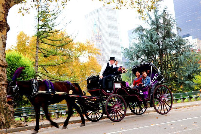 Central Park Horse Carriage Ride Short Loop (Up to 4 Adults)) - Final Thoughts
