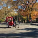 Central Park Movie Locations & Celebrity Homes Tour - Celebrity Homes and the Glamour of New York