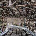 Central Park New York - Exclusive Guided Walking Tour - Practical Details and Considerations