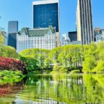 Central Park Pedicab Tour / Photo Stops - Why the Value of This Tour Shines