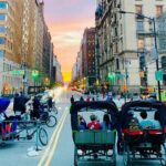 Central Park privet pedicab delux tour -1 hour - What to Expect from the Experience