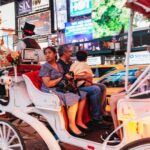 Central Park, Rockefeller & Times Carriage Ride (4 Adults) - Who Is This Experience Best For?