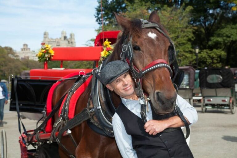 Central Park: Short Horse Carriage Ride (Up to 4 Adults) - The Value of a Private Group Experience