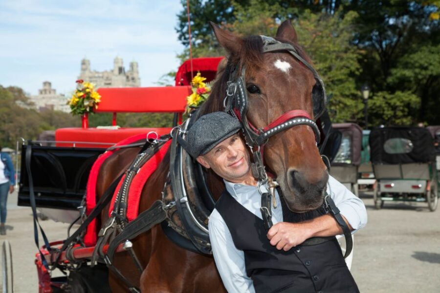 Central Park: Short Horse Carriage Ride (Up to 4 Adults) - The Value of a Private Group Experience