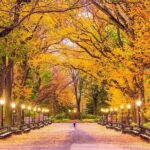Central Park Yoga Class with a View in the Heart of New York City - What’s Included and What’s Not
