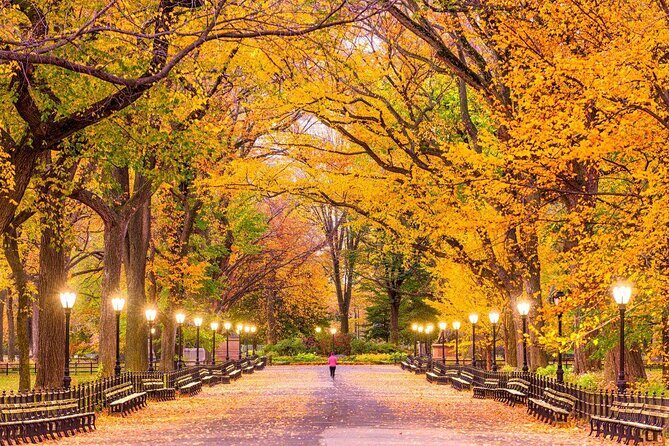 Central Park Yoga Class with a View in the Heart of New York City - What’s Included and What’s Not