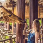 Central Park Zoo Skip-the-line Tickets & Private Transfers - Why This Tour is Worth It