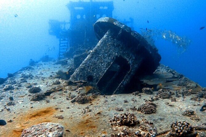 Certified Diver: 2-Tank Deep Wreck and Shallow Reef Dive Off Oahu - The Experience Value: What’s This Tour Really Worth?