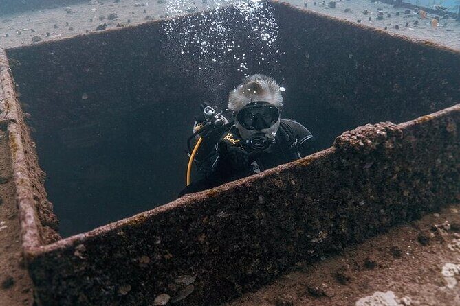 Certified Divers: Best 2-Tank Wrecks & Reef Boat Dive All Inclusive From Waikiki - Equipment & Safety: Why It Matters