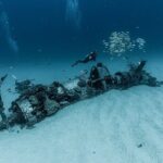 Certified Scuba Diving Experience in Honolulu - The Itinerary: What to Expect