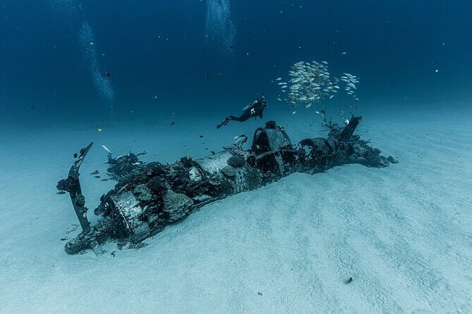 Certified Scuba Diving Experience in Honolulu - The Itinerary: What to Expect