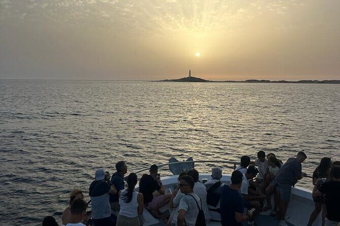 Cetacean Watching Tour - Who Should Consider This Tour?