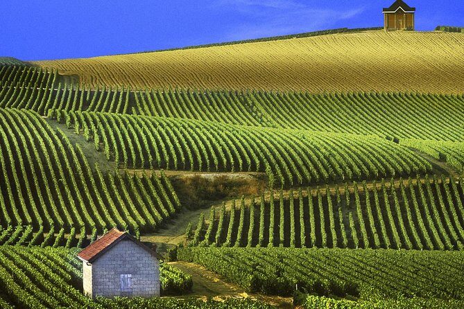 Champagne Day Tour with Reims, Cellars Visit & Champagne Tasting from Paris - Frequently Asked Questions