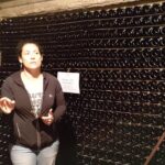 Champagne Lamiable: Traditional Tour & Tasting - The Detailed Itinerary