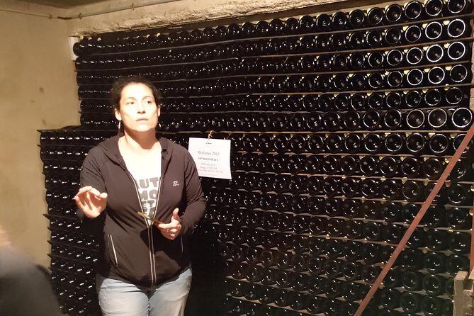 Champagne Lamiable: Traditional Tour & Tasting - The Detailed Itinerary